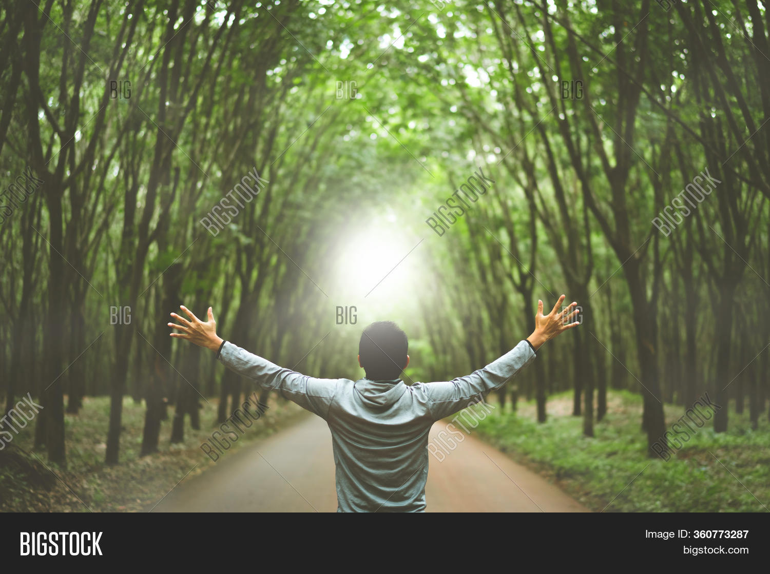 Man Raise Hand Forrest Image & Photo (Free Trial) | Bigstock