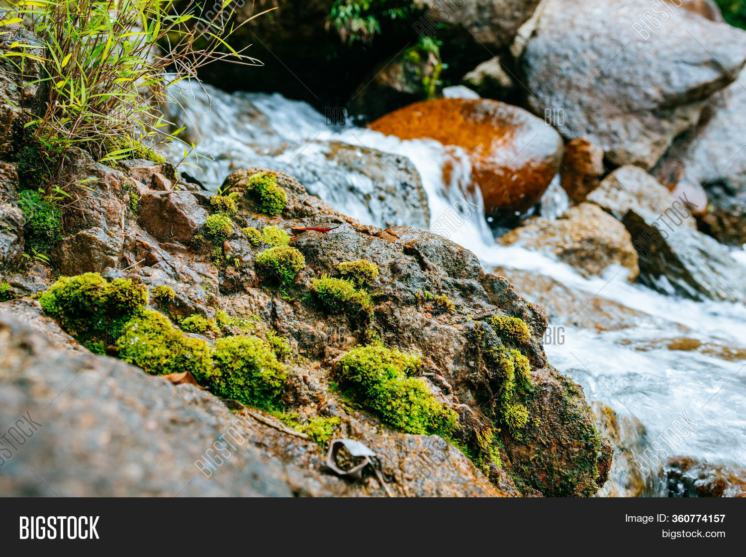 Small Mountain River Image & Photo (Free Trial) | Bigstock