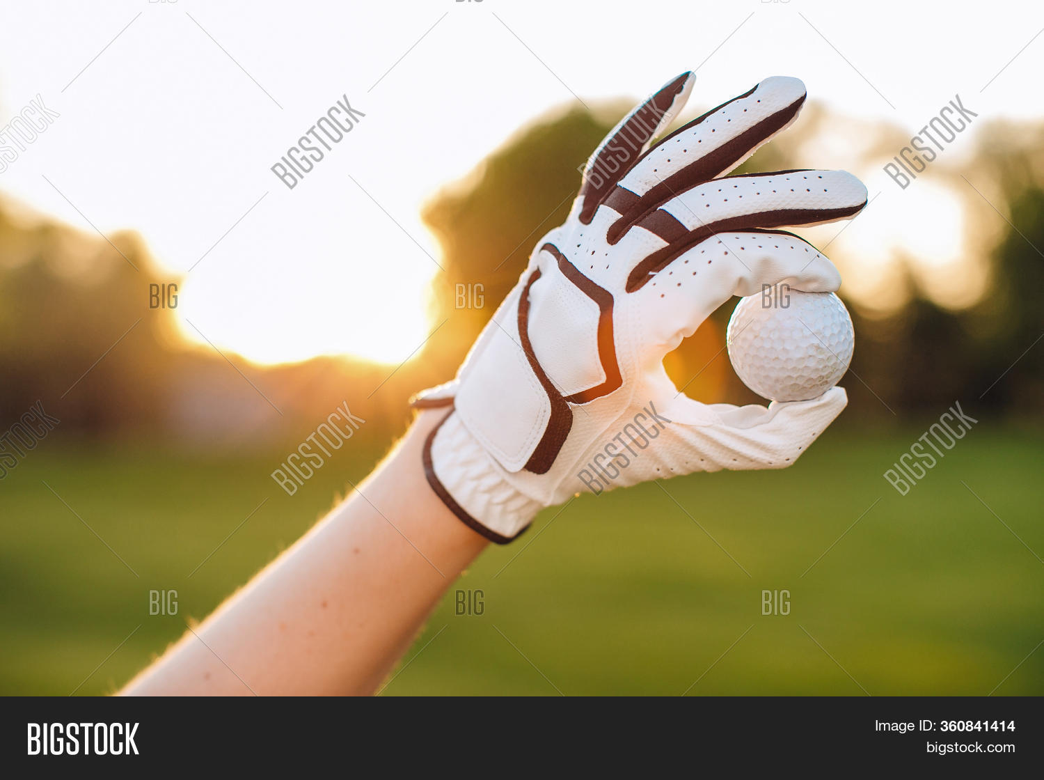 Gloved Hand Holds Golf Image & Photo (Free Trial) | Bigstock