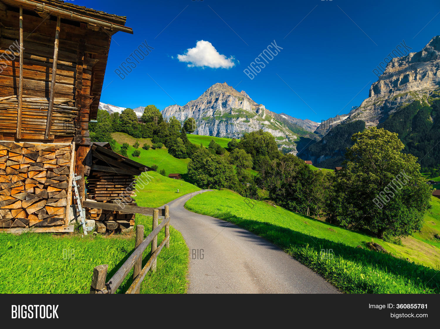 Narrow Rural Trail Image & Photo (Free Trial) | Bigstock