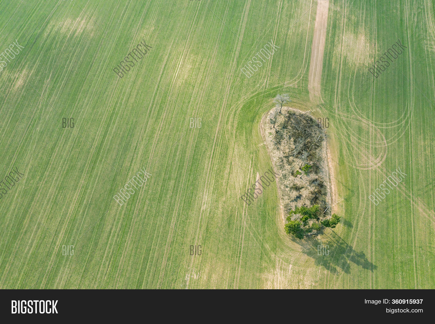 Aerial Top View Green Image & Photo (Free Trial) | Bigstock