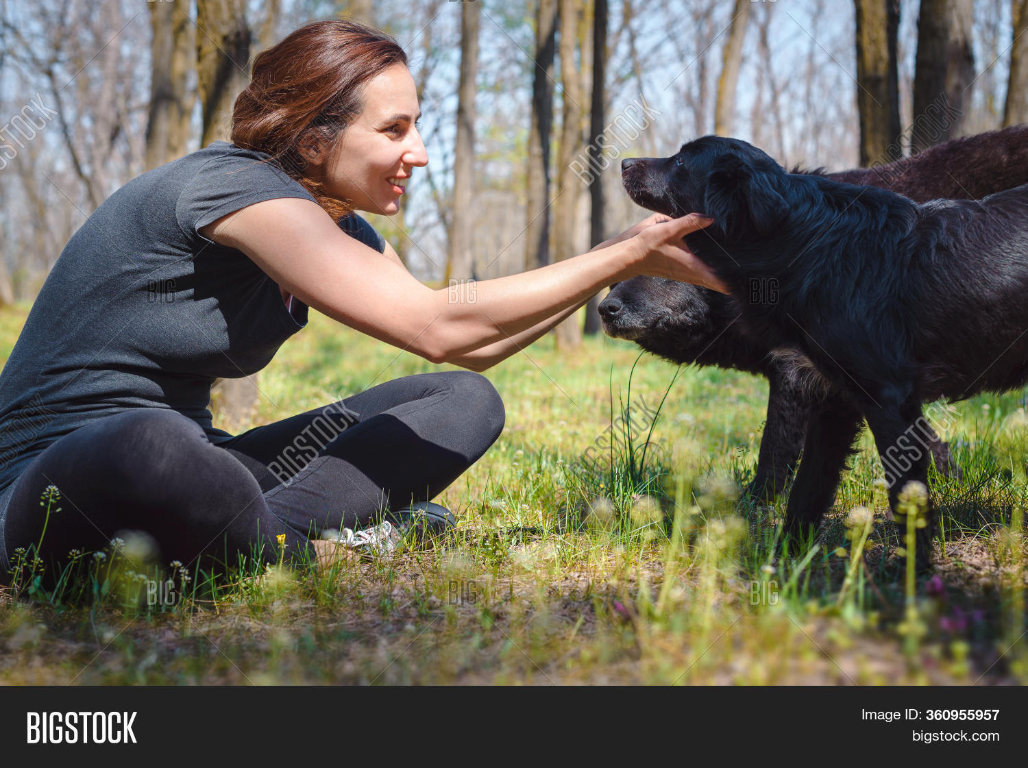 Woman Hugging Dogs Image & Photo (Free Trial) | Bigstock