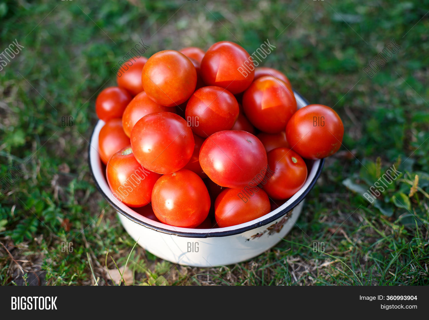 Many Red Appetite Image & Photo (Free Trial) | Bigstock