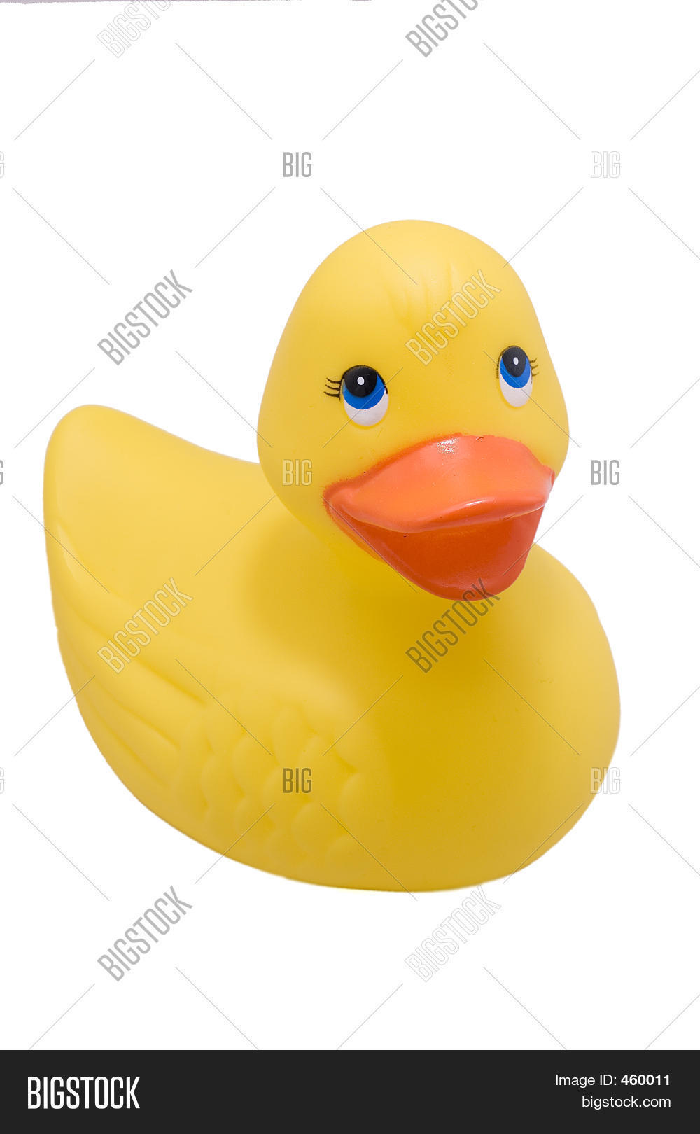 Rubber Duckie Image & Photo (Free Trial) | Bigstock