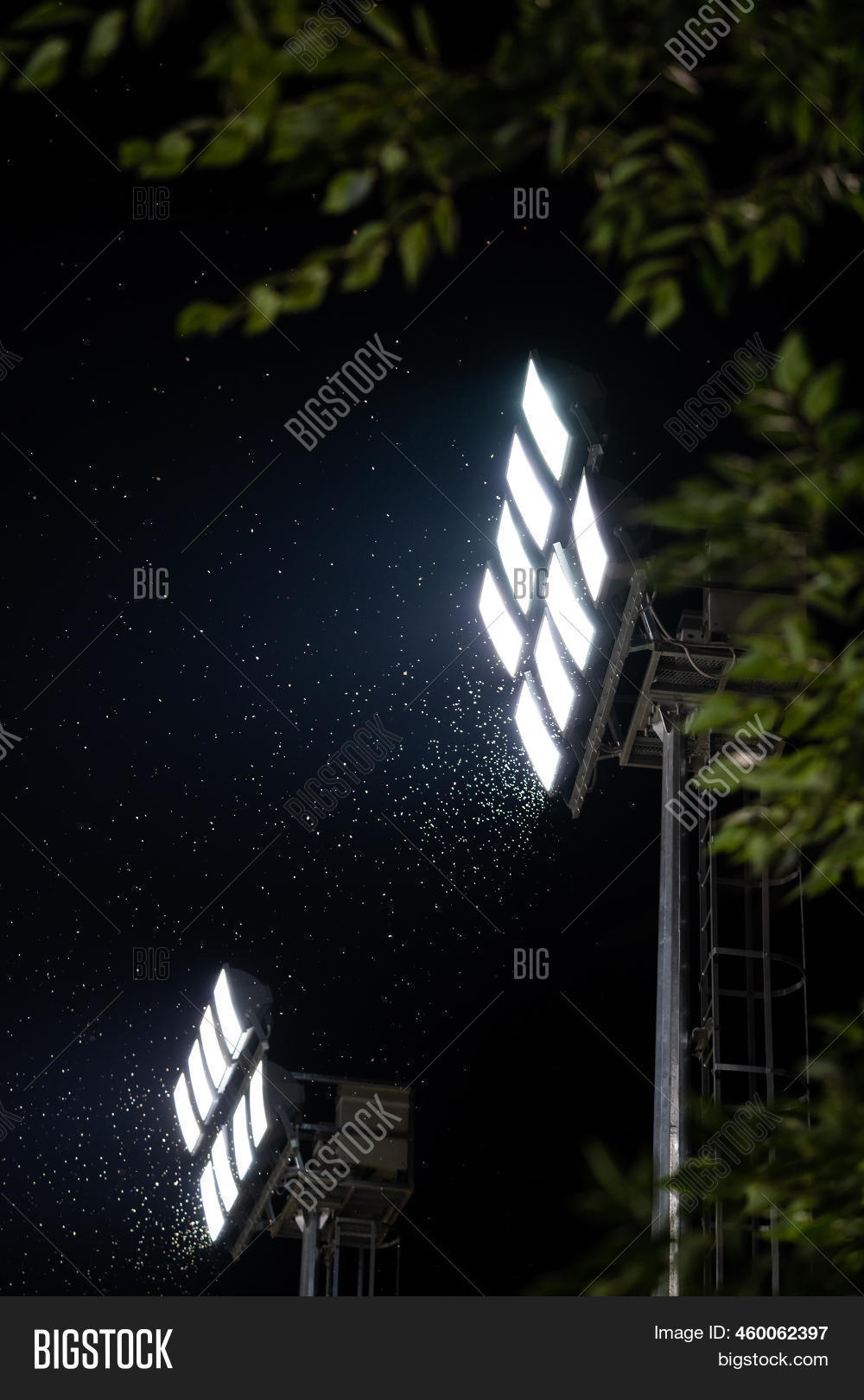 Swarm Insects Image & Photo (Free Trial) | Bigstock