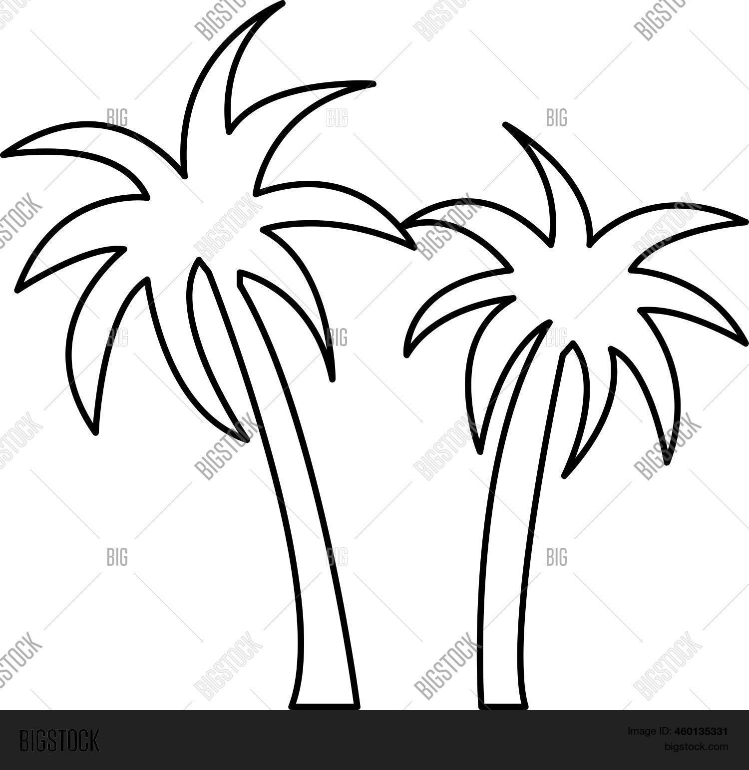 Palm Tree Vector Line Vector & Photo (Free Trial) | Bigstock