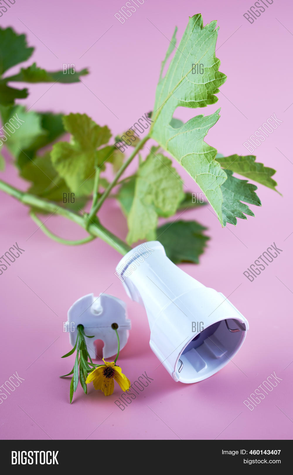 Electric Socket Plant Image & Photo (Free Trial) | Bigstock