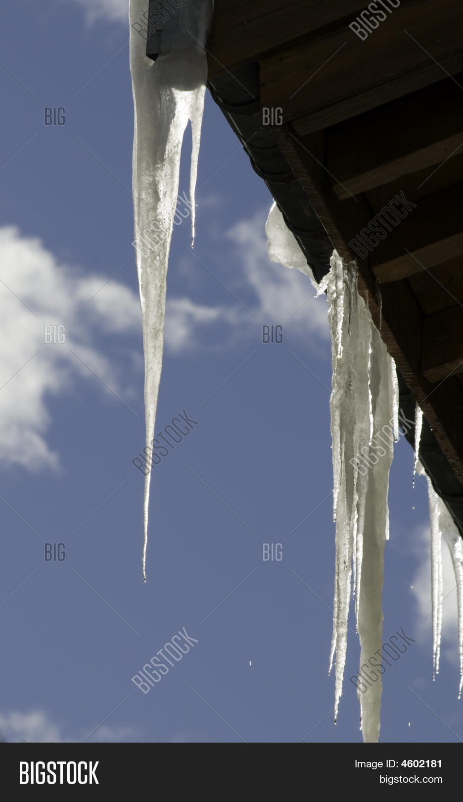 Melting Icicles Image & Photo (Free Trial) | Bigstock
