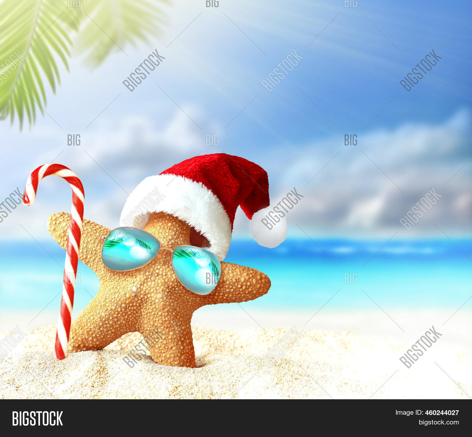 Starfish Santa Claus Image & Photo (Free Trial) | Bigstock