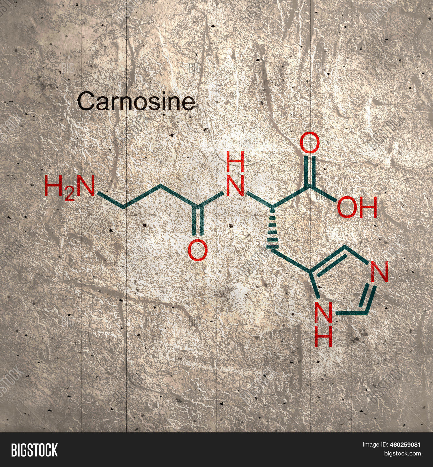 Carnosine L-carnosine Image & Photo (Free Trial) | Bigstock