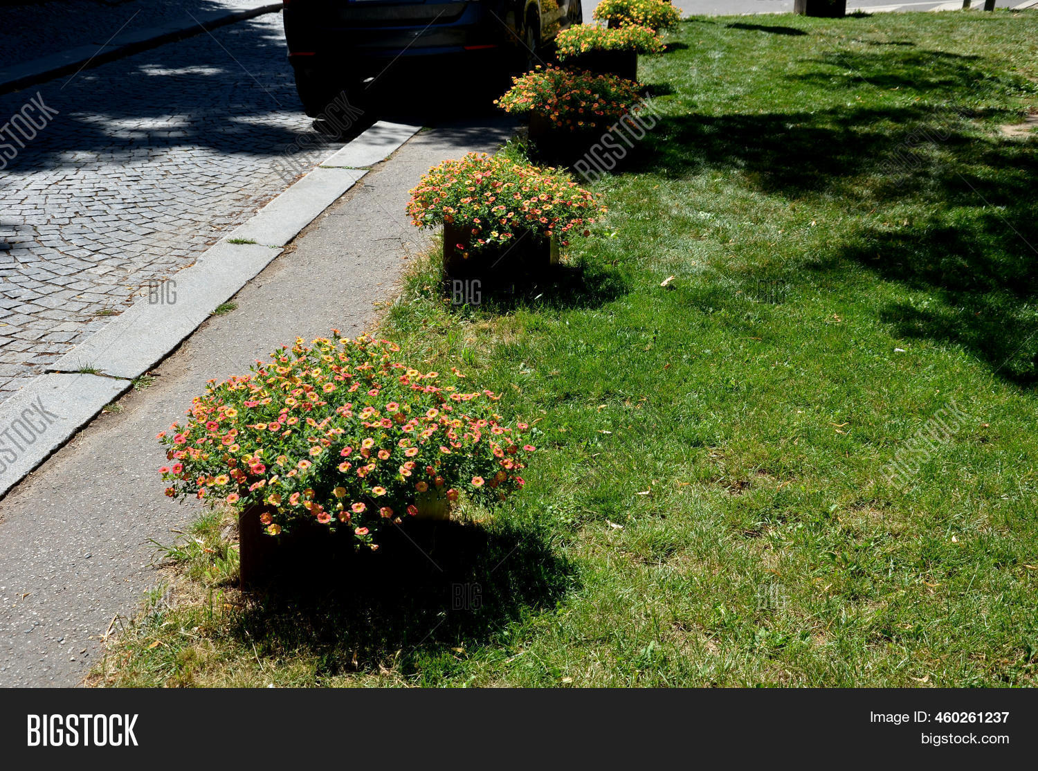 Flower Pot Road Side Image & Photo (Free Trial) | Bigstock