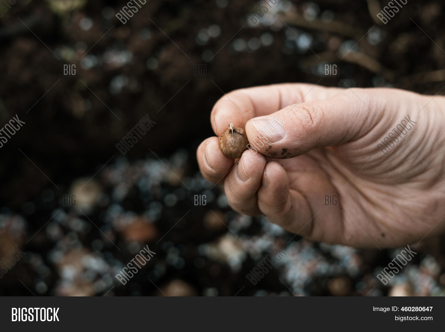 Hand Sadi Soil-soil Image & Photo (Free Trial) | Bigstock