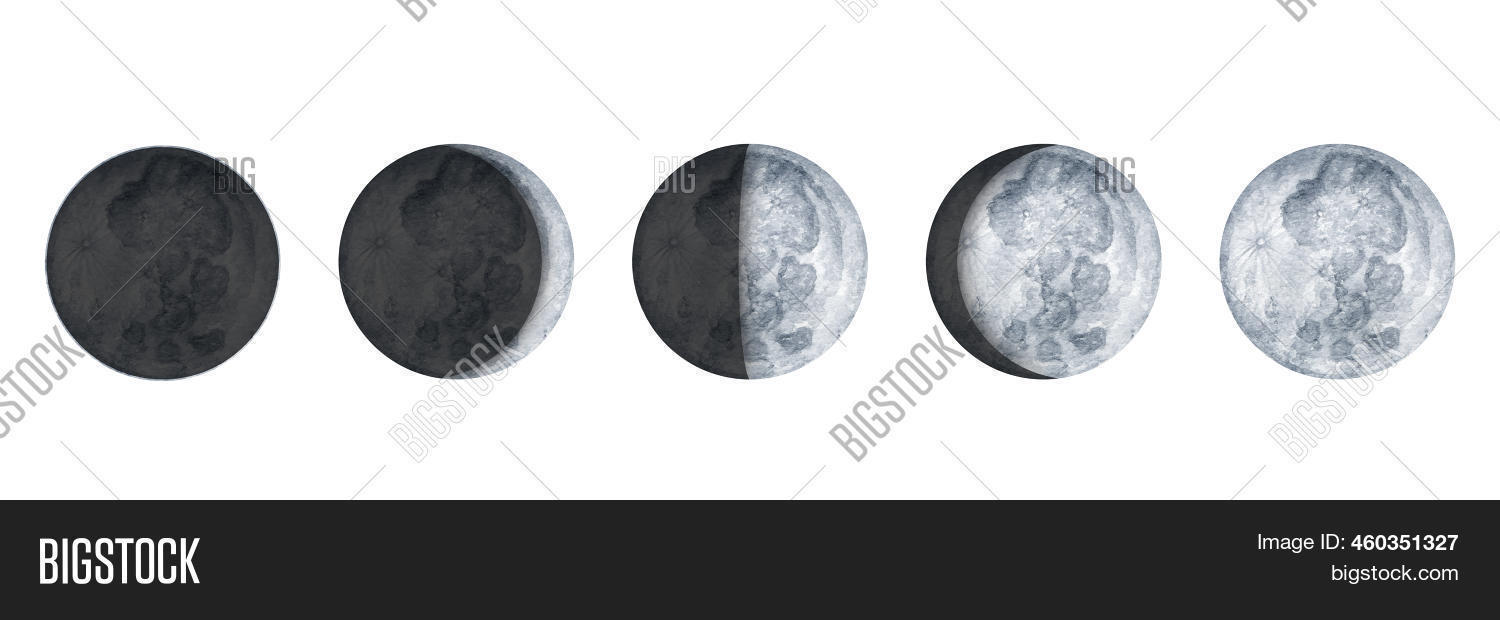 Moon Phases On White Image & Photo (Free Trial) | Bigstock