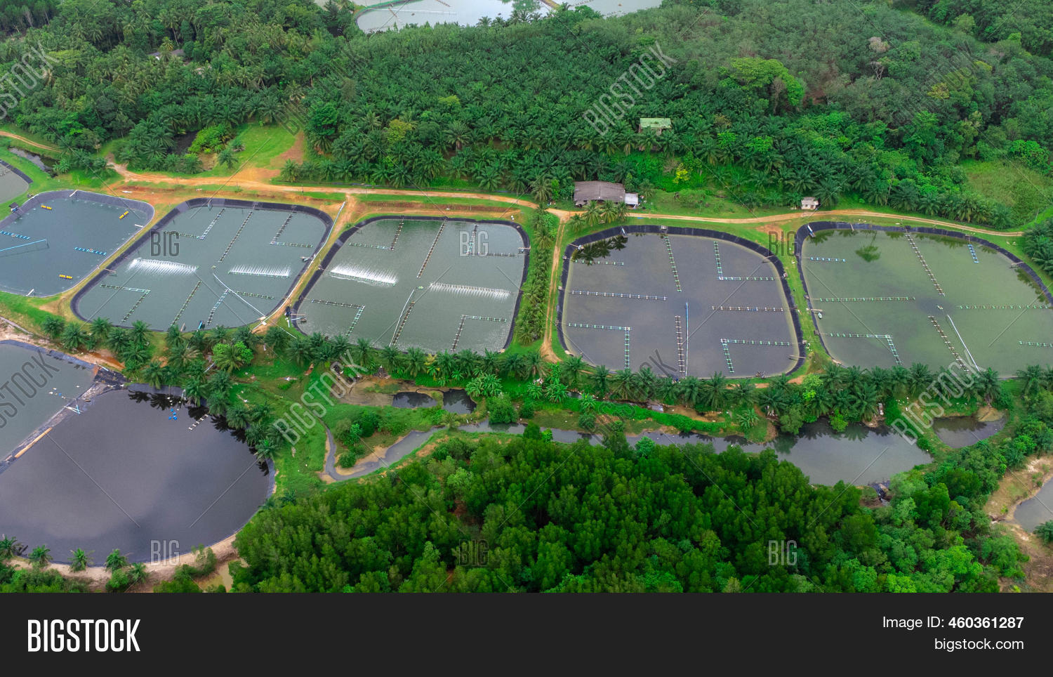 Aerial View Sewage Image & Photo (Free Trial) | Bigstock