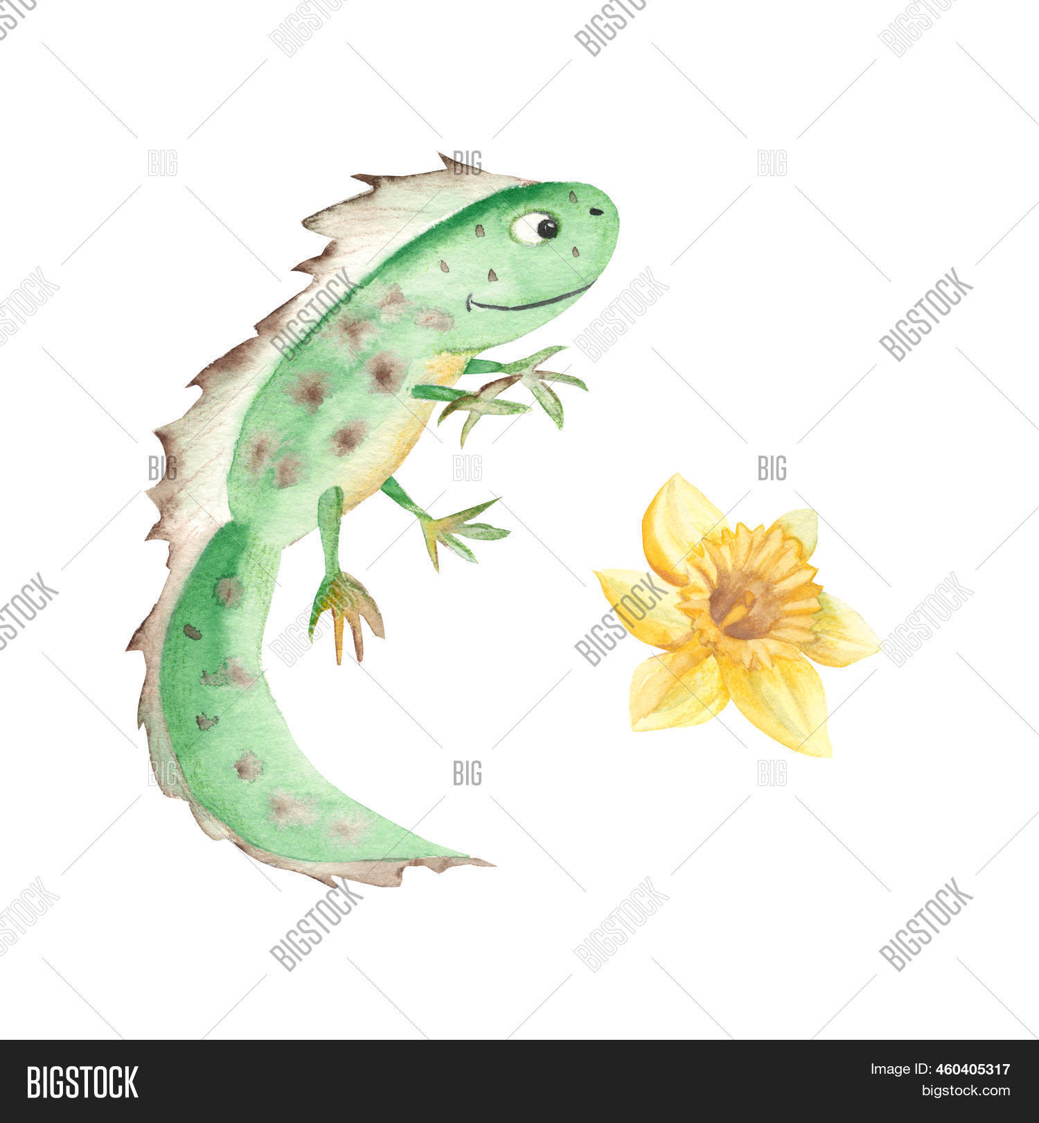Cute Smiling Newt Image & Photo (Free Trial) | Bigstock