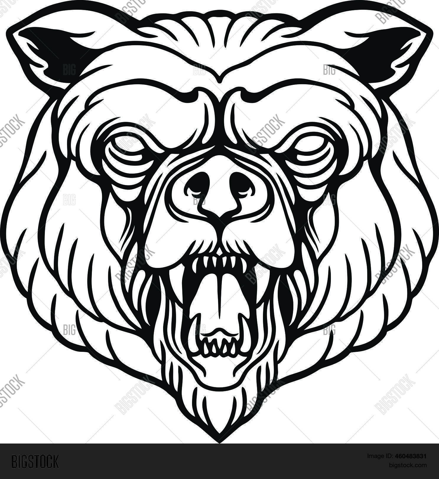 Bear Head Outline Vector & Photo (Free Trial) | Bigstock