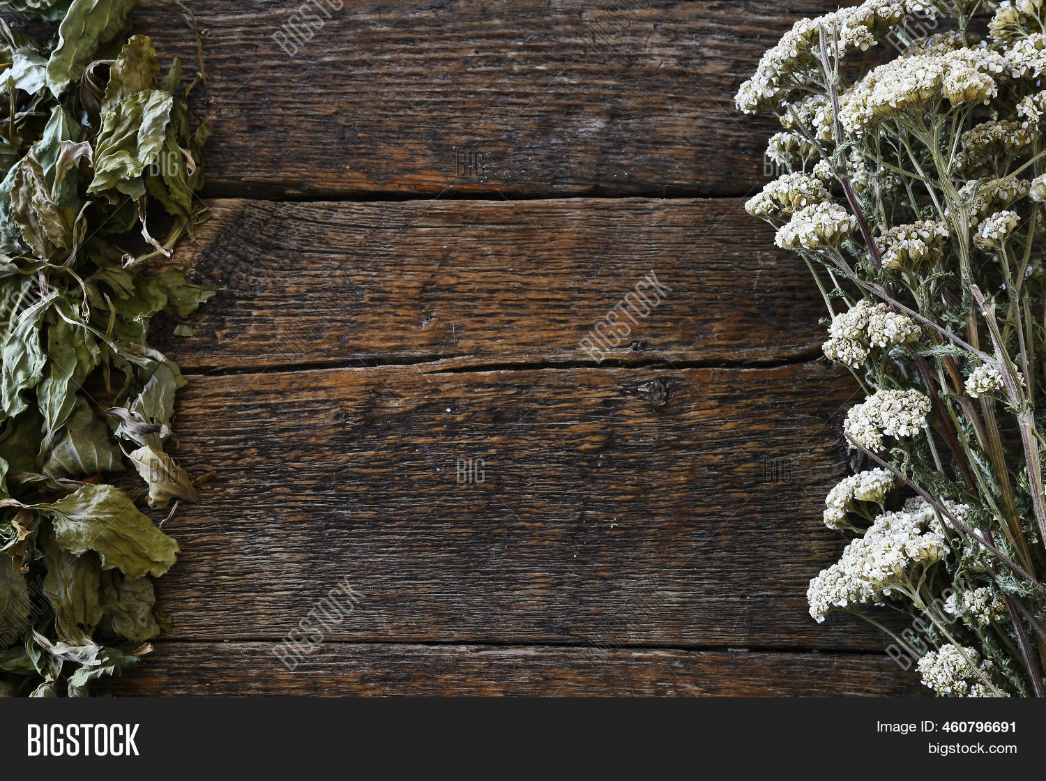 Top View Image Wood Image & Photo (Free Trial) | Bigstock