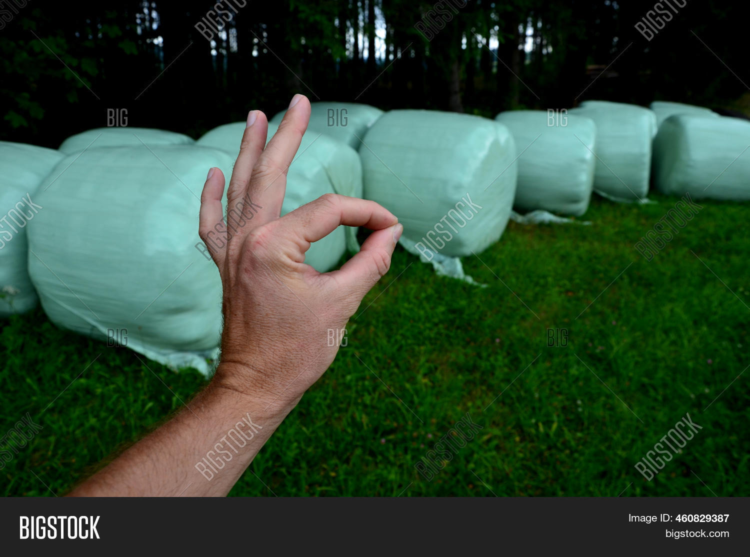 Bales Fermented Meadow Image & Photo (Free Trial) | Bigstock