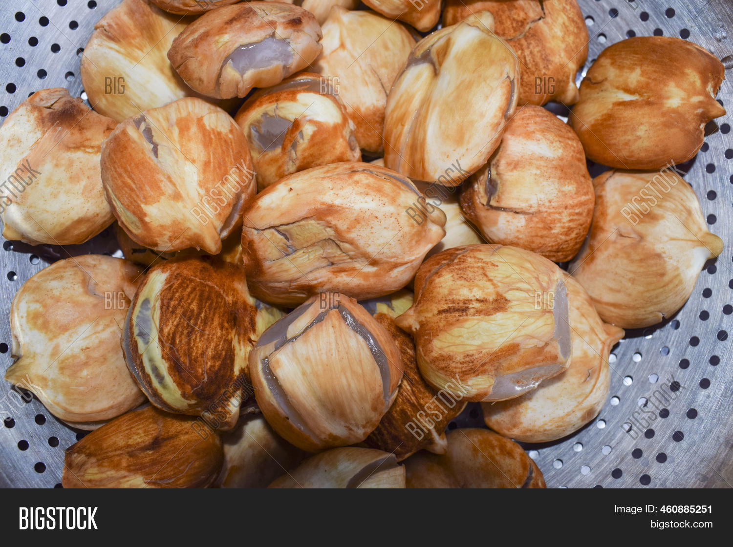 Ice Apples Known Image & Photo (Free Trial) | Bigstock