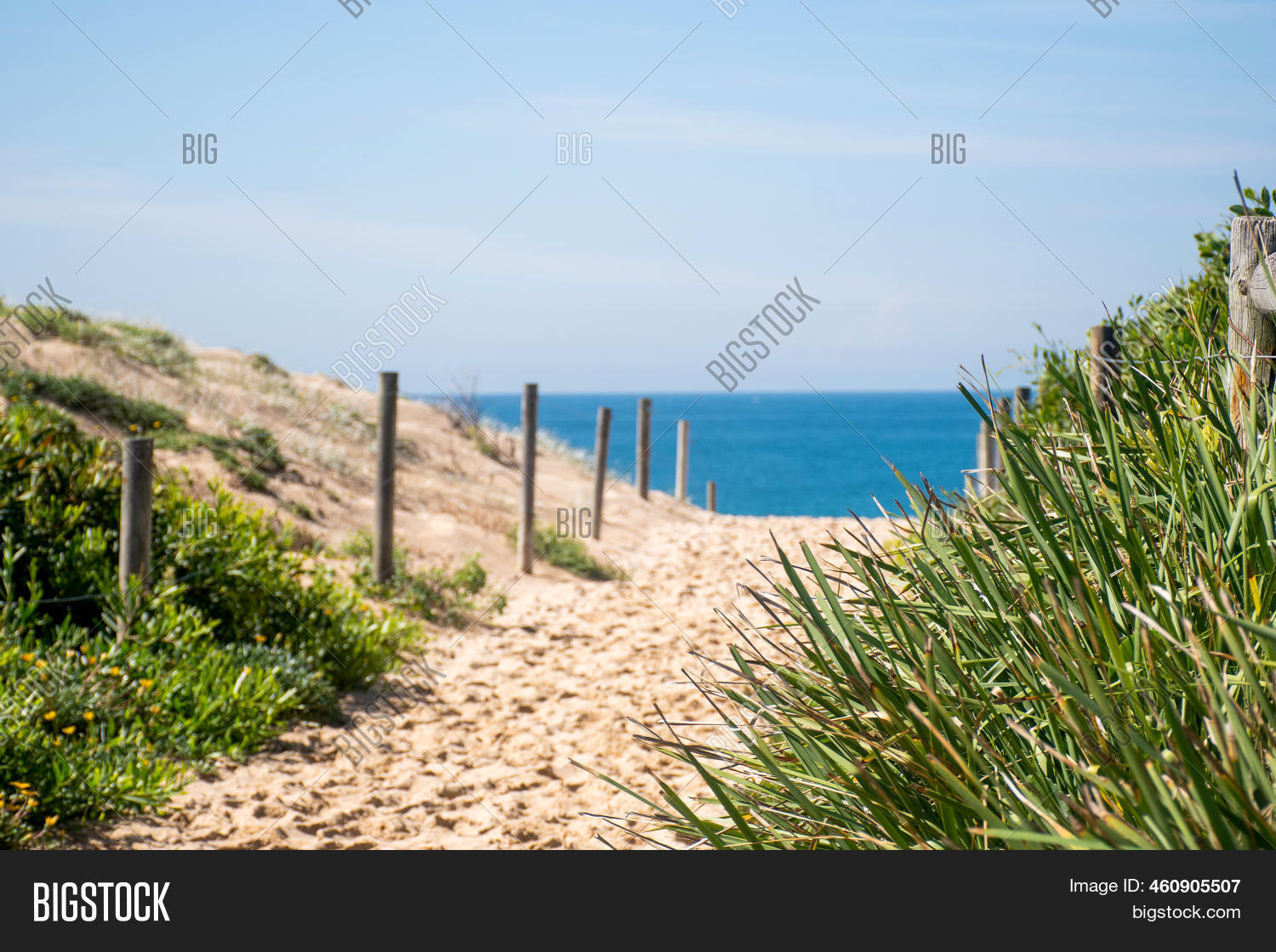 Sandy Pathway Ocean Image & Photo (Free Trial) | Bigstock