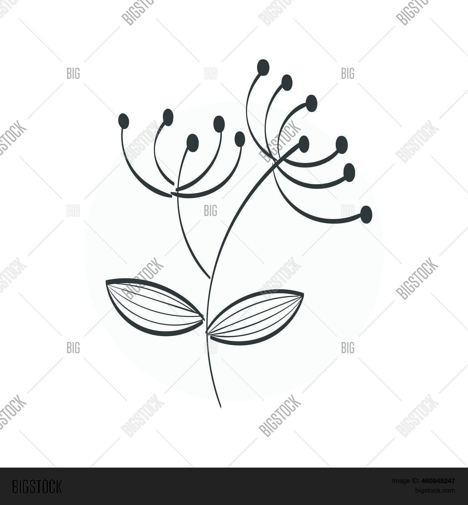Floral Art. Flower Vector & Photo (Free Trial) | Bigstock