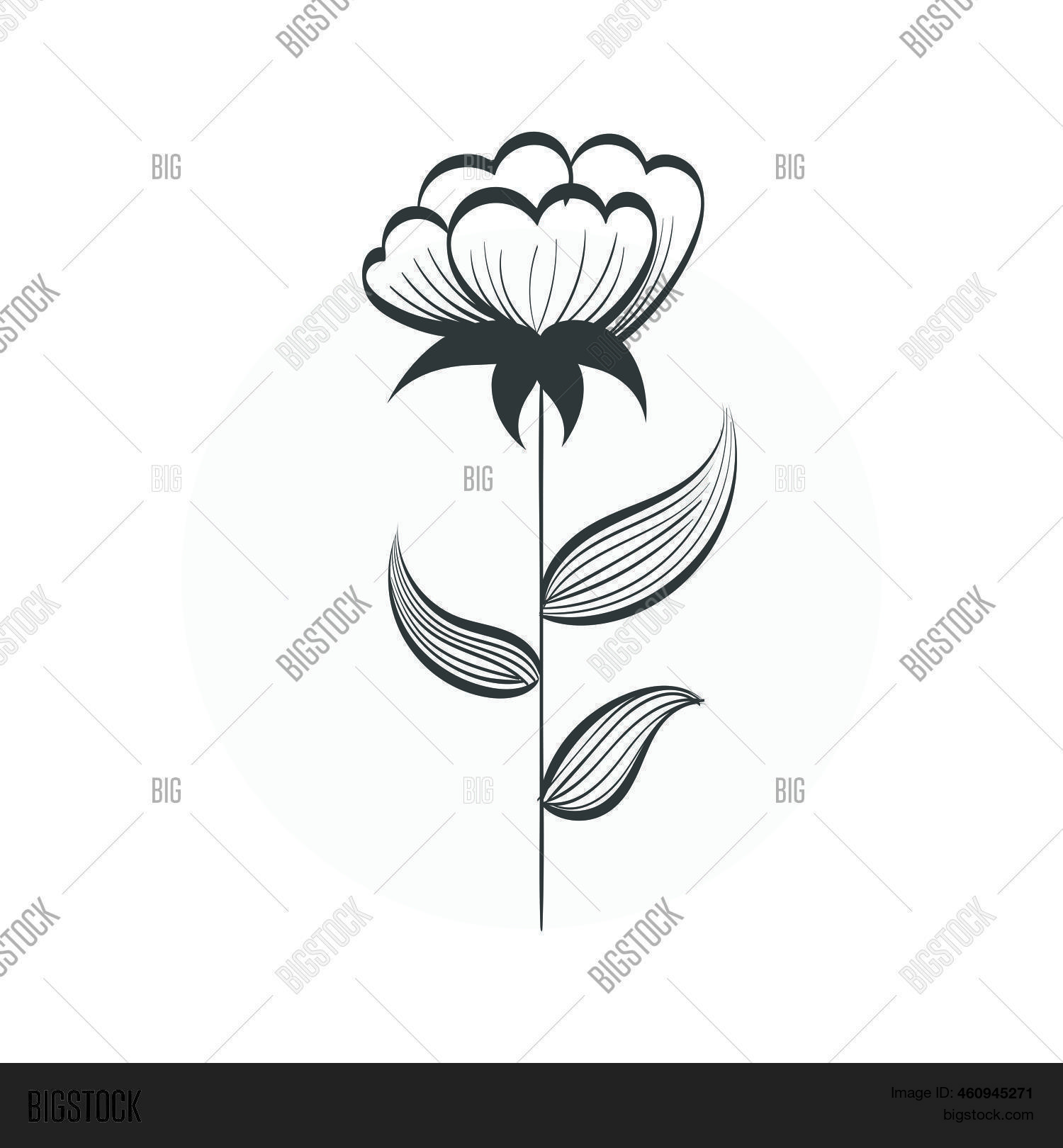 Floral Art. Flower Vector & Photo (Free Trial) | Bigstock