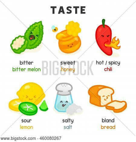 Food Taste Diagram Vector & Photo (Free Trial) | Bigstock