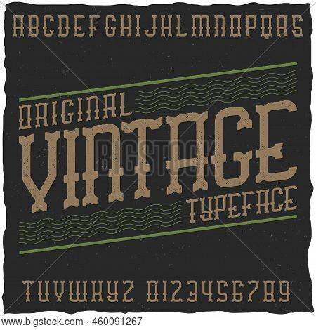 Vintage Label Font Vector & Photo (Free Trial) | Bigstock