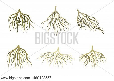 Branching Root Tree Vector & Photo (Free Trial) | Bigstock