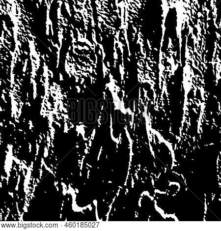 Black White Vector Vector & Photo (Free Trial) | Bigstock