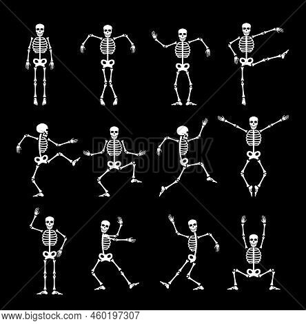 Skeleton Dance Vector & Photo (Free Trial) | Bigstock