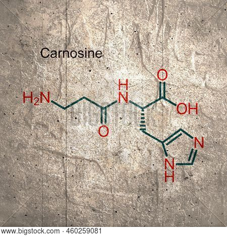 Carnosine L-carnosine Image & Photo (Free Trial) | Bigstock
