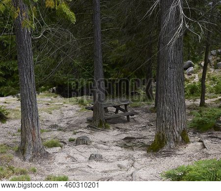 Picnic Area. Wooden Image & Photo (Free Trial) | Bigstock