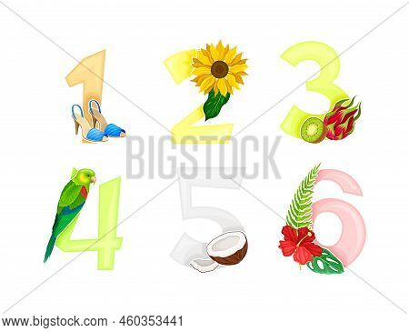 Tropical Numbers Set Vector & Photo (Free Trial) | Bigstock