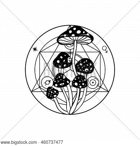 Magic Mushrooms Over Vector & Photo (Free Trial) | Bigstock