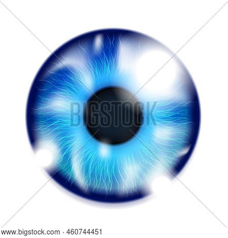 Realistic Vector Vector & Photo (Free Trial) | Bigstock