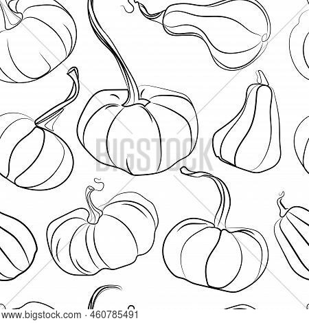 Pumpkin Seamless Vector & Photo (Free Trial) | Bigstock