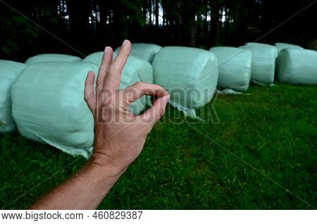 Bales Fermented Meadow Image & Photo (Free Trial) | Bigstock