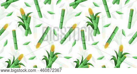 Cane Sugar. Hand Vector & Photo (Free Trial) | Bigstock