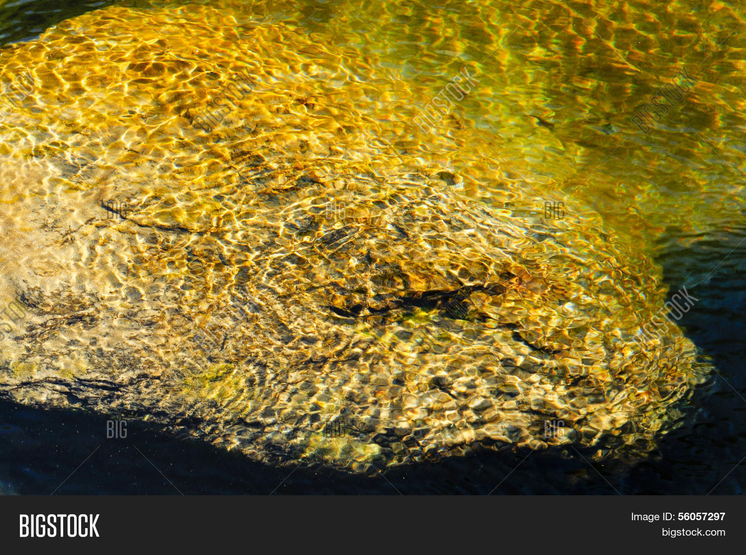 Underwater Reflection Image & Photo (Free Trial) | Bigstock