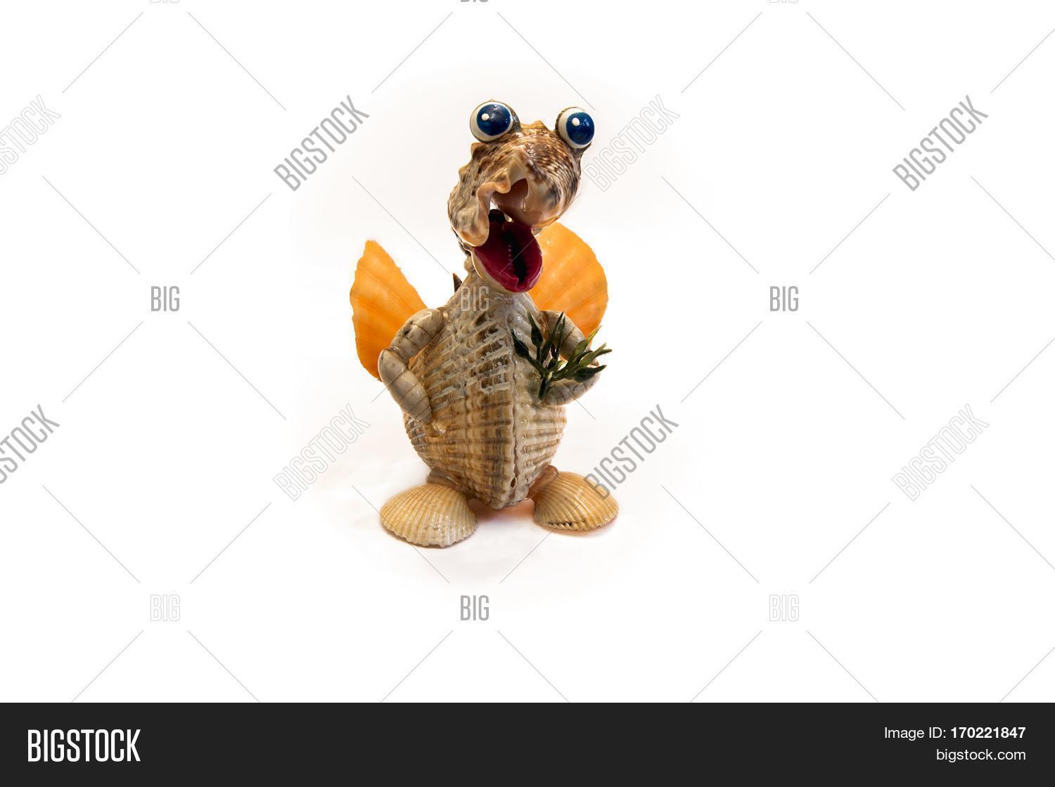 Dragon Sea Shells Image & Photo (Free Trial) | Bigstock