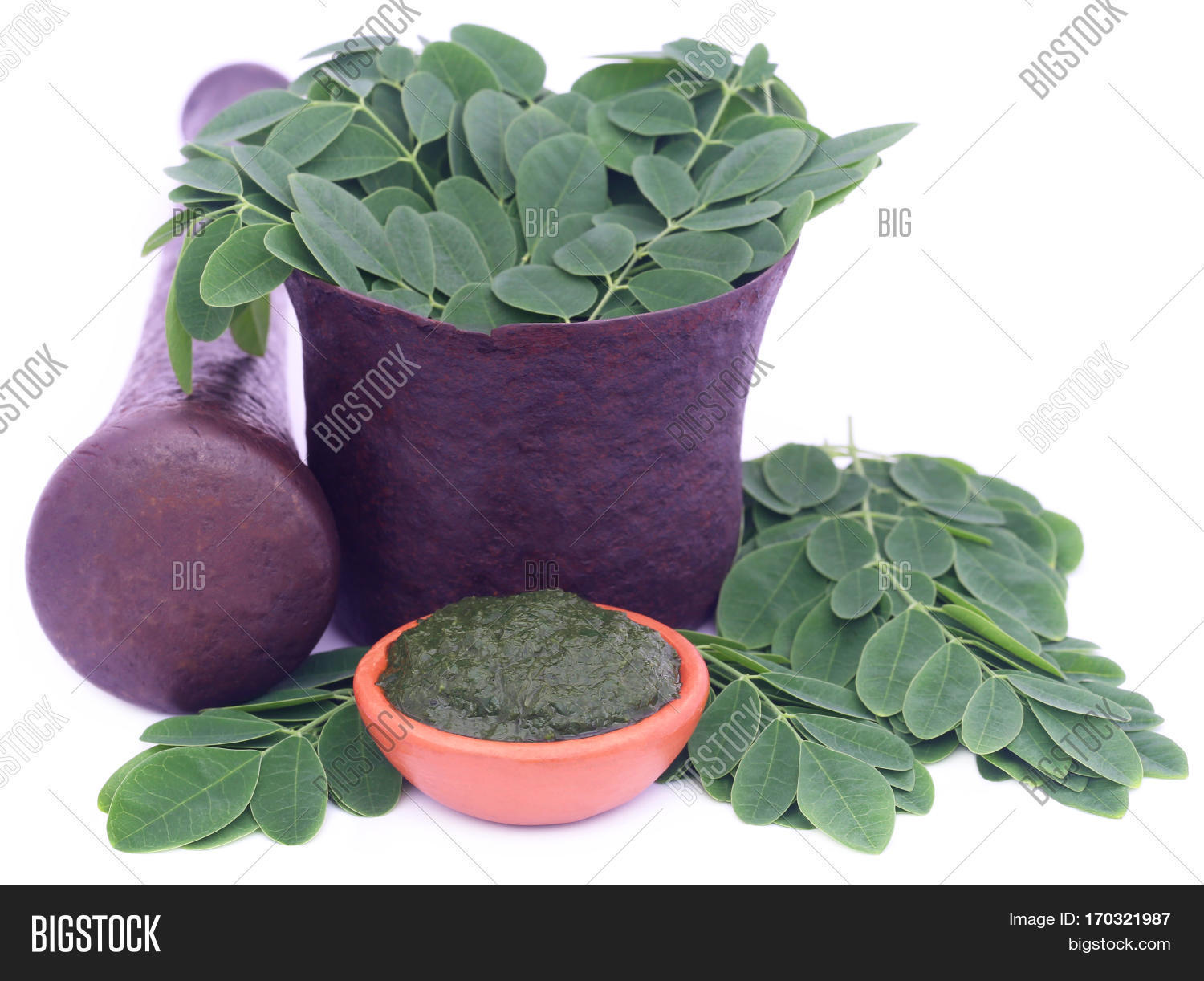 Edible Moringa Leaves Image & Photo (Free Trial) | Bigstock