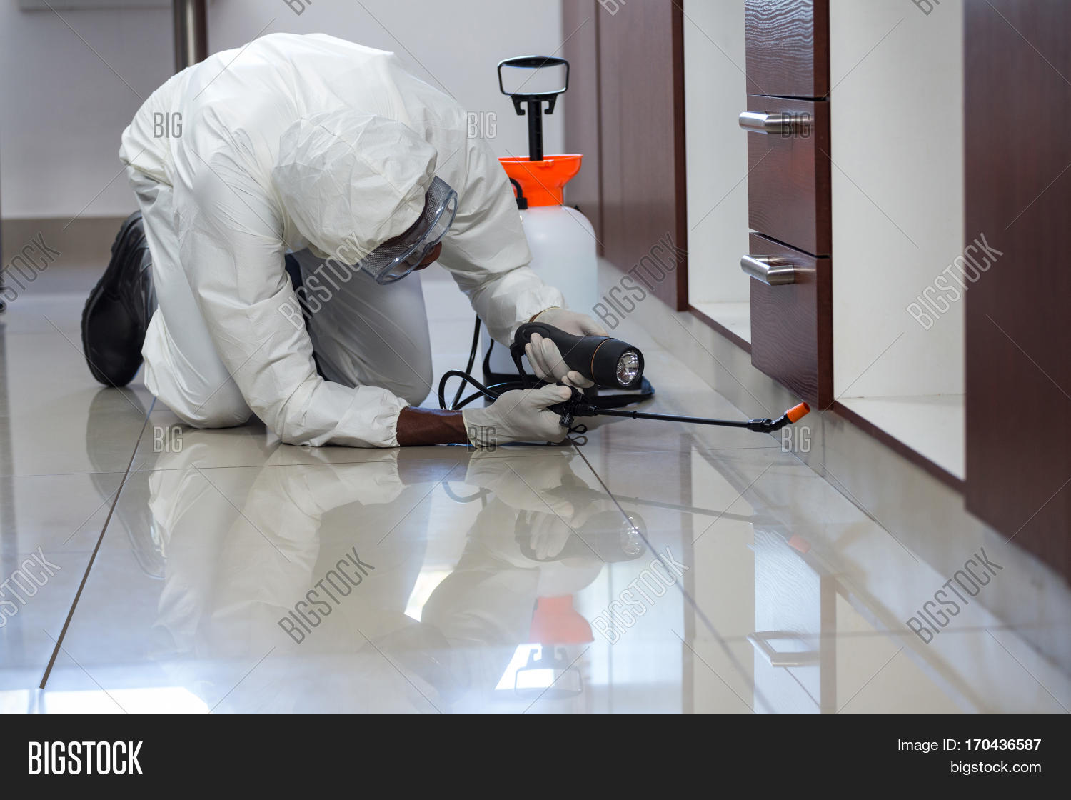 Pest Control Man Image & Photo (Free Trial) | Bigstock