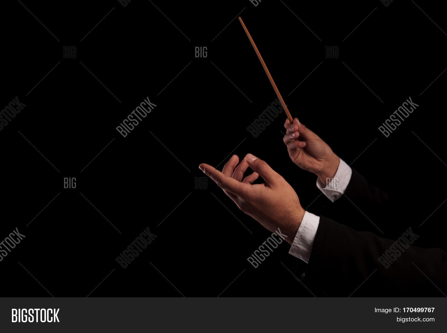 Conductor's Hands Image & Photo (Free Trial) | Bigstock