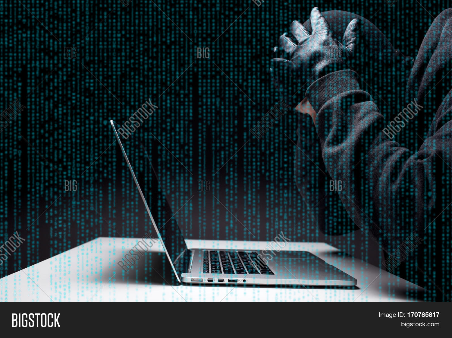 Robber Hacks Computer Image & Photo (Free Trial) | Bigstock