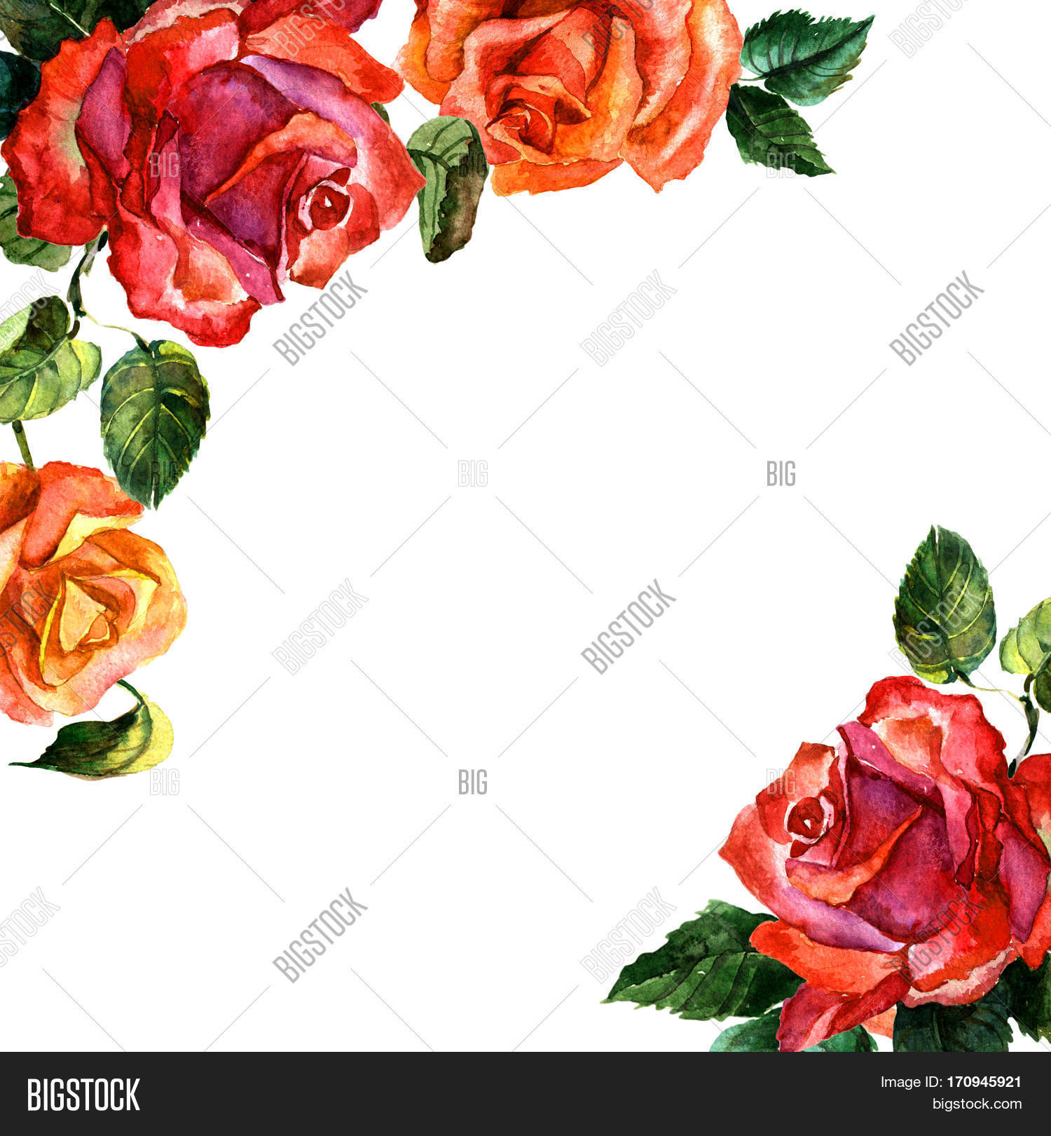 Wildflower Rose Flower Image & Photo (Free Trial) | Bigstock