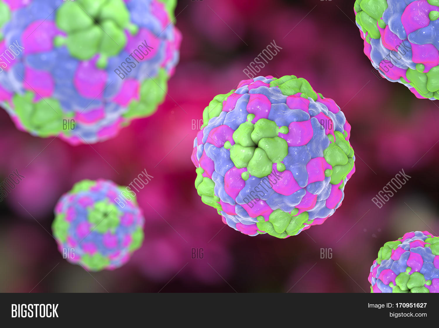 Human Parechovirus On Image & Photo (Free Trial) | Bigstock