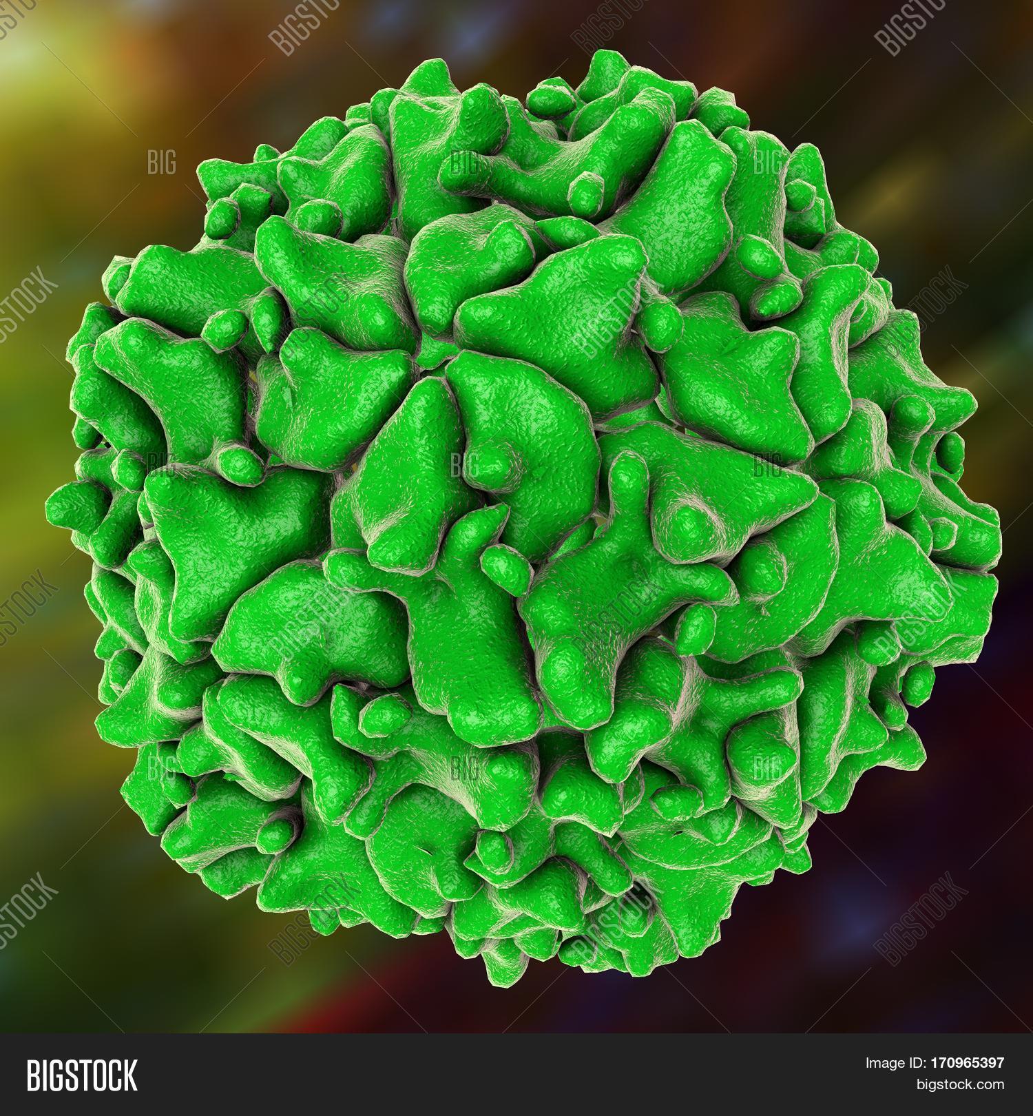 Poliovirus On Colorful Image & Photo (Free Trial) | Bigstock