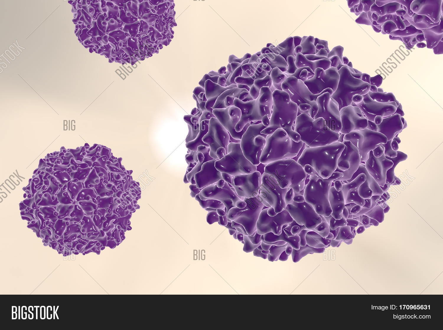 Poliovirus On Colorful Image & Photo (Free Trial) | Bigstock