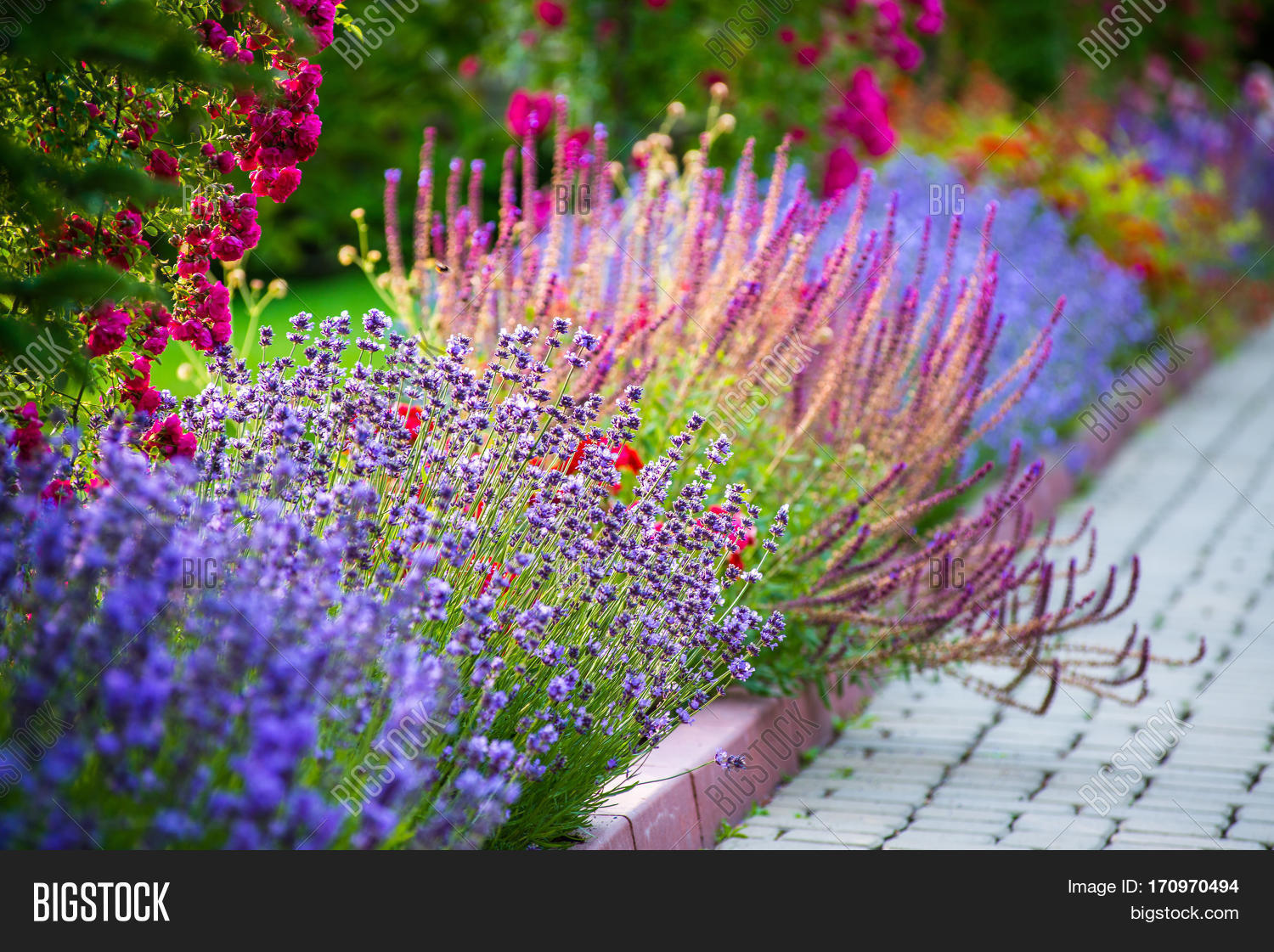 Beautiful Landscaping Image & Photo (Free Trial) | Bigstock